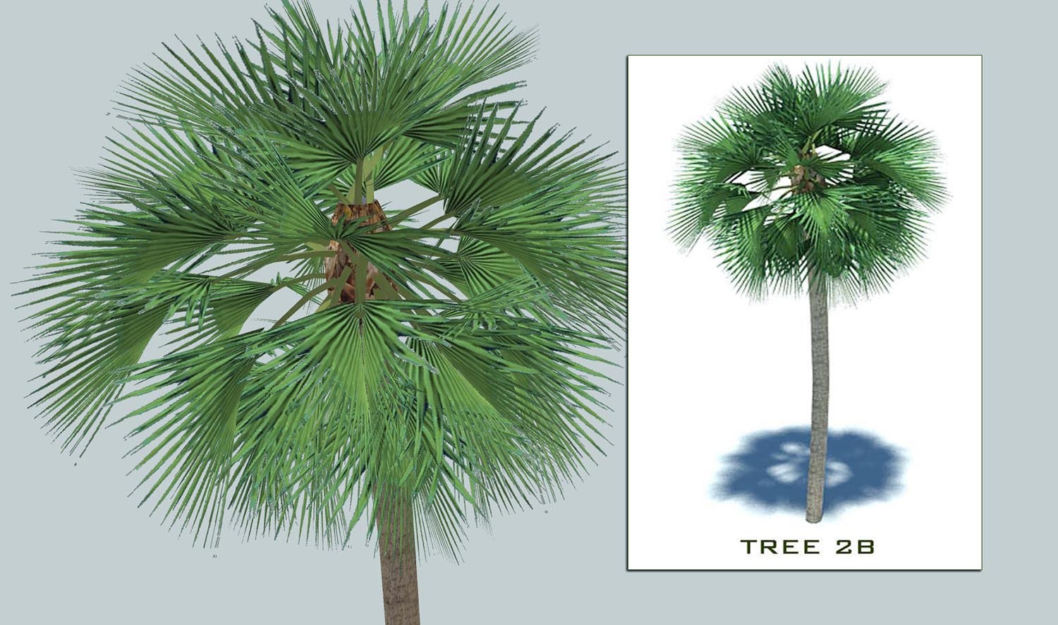 9 PALMS 3D COLLECTION - by Sketchup Texture - #299 - Sketchuptexture ...