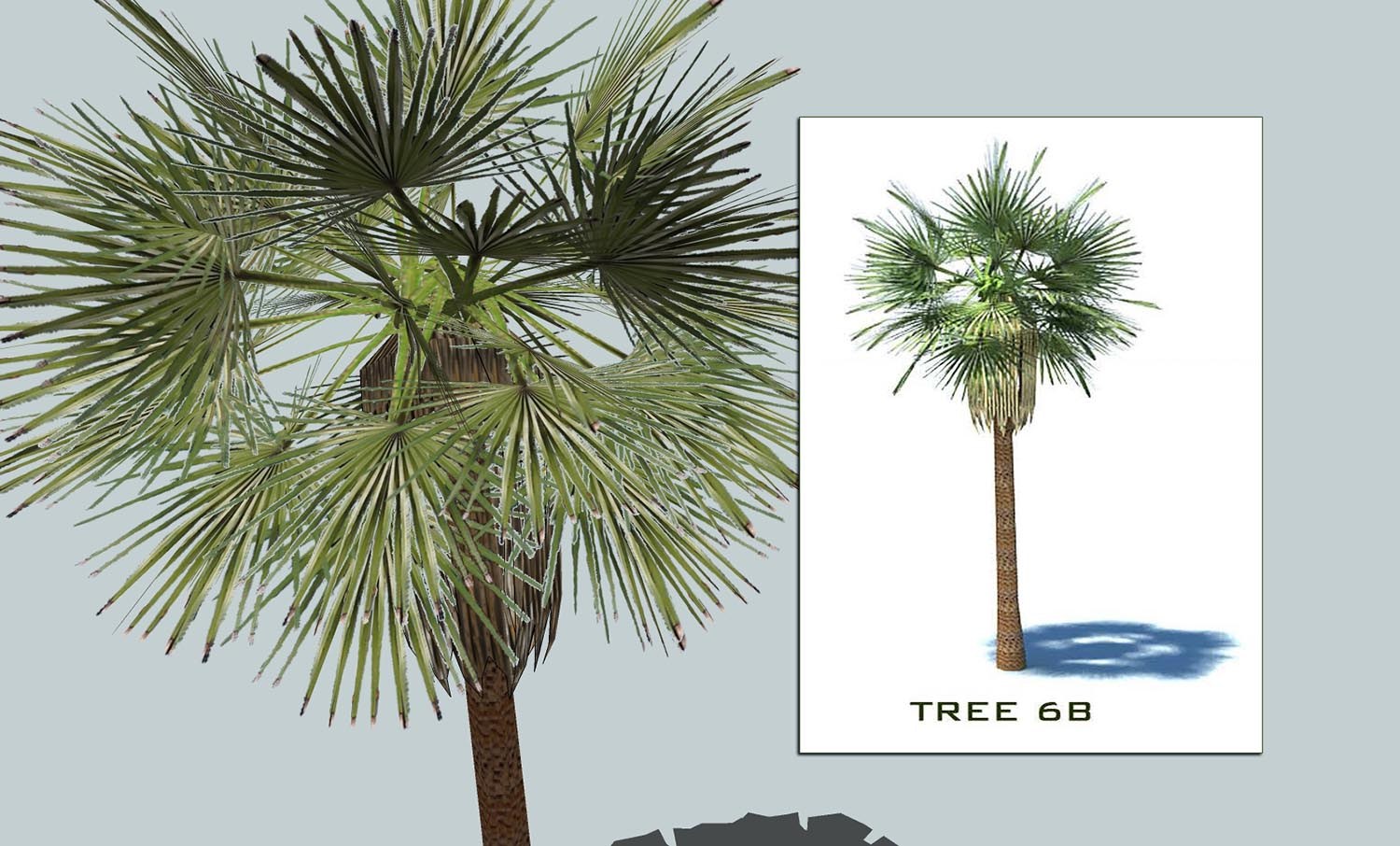 9 PALMS 3D COLLECTION - by Sketchup Texture - #303 - Sketchuptexture ...