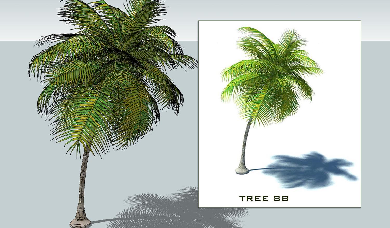 9 PALMS 3D COLLECTION - by Sketchup Texture - #305 - Sketchuptexture ...