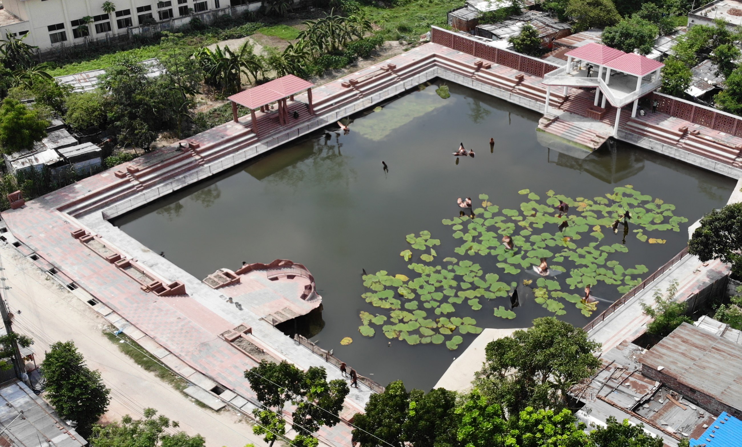 Lily Pond Design with Original site photos - by Gourav Dey - #1537 ...