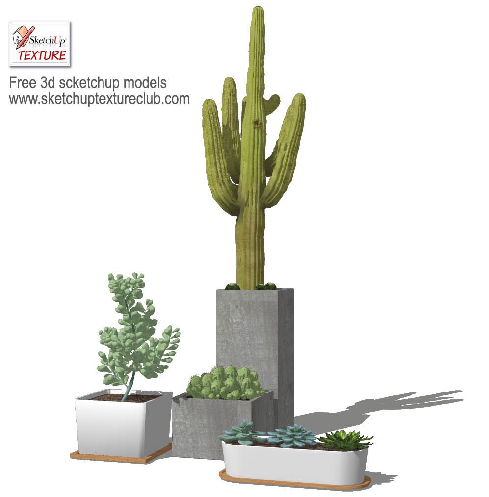 14 SketchUp 3D plants in pots - collection #2 - by SketchUp Texture ...