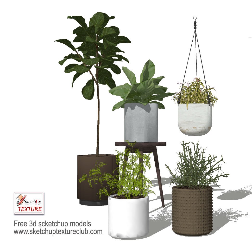17 SketchUp 3D plants in pots collection #3 - by SketchUp Texture Team ...