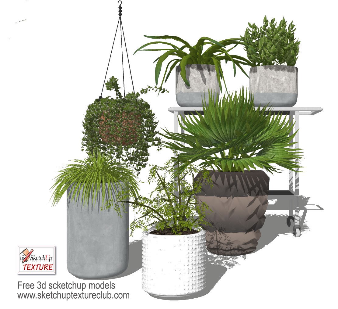 17 SketchUp 3D plants in pots collection #3 - by SketchUp Texture Team ...