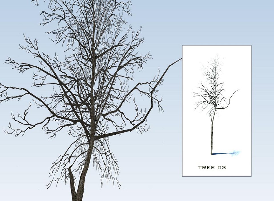 SKETCHUP 3D TREES collection 1 - by Sketchup Texture - #50 ...