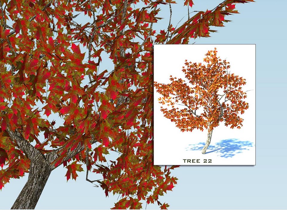 SKETCHUP 3D TREES COLLECTION 3 - by Sketchup Texture - #69 ...