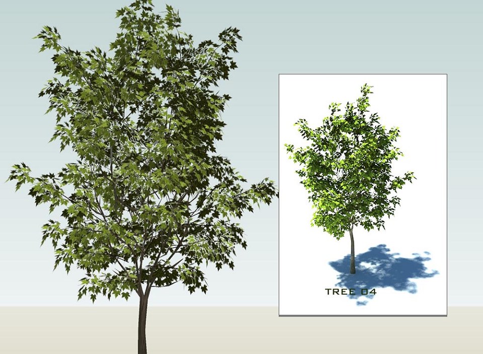 SKETCHUP 3D TREES collection 1 - by Sketchup Texture - #51 ...