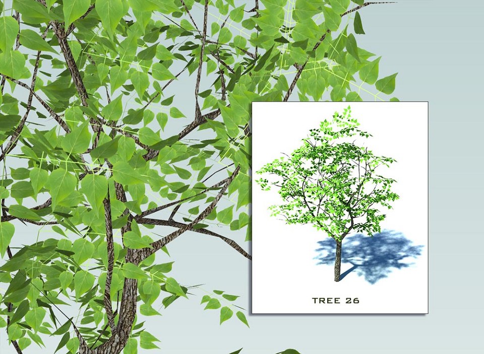 SKETCHUP 3D TREES COLLECTION 3 - by Sketchup Texture - #73 ...
