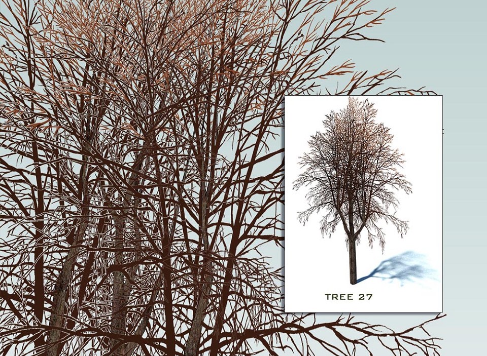 SKETCHUP 3D TREES COLLECTION 3 - by Sketchup Texture - #74 ...