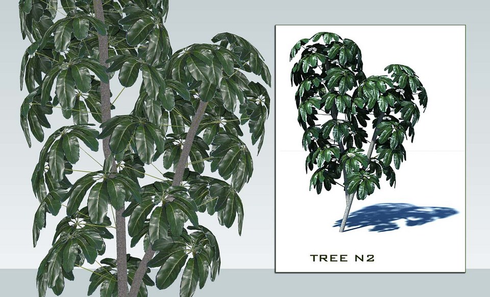 SMALL TREES 4 - by Sketchup Texture - #291 - Sketchuptexture Free 3D Model