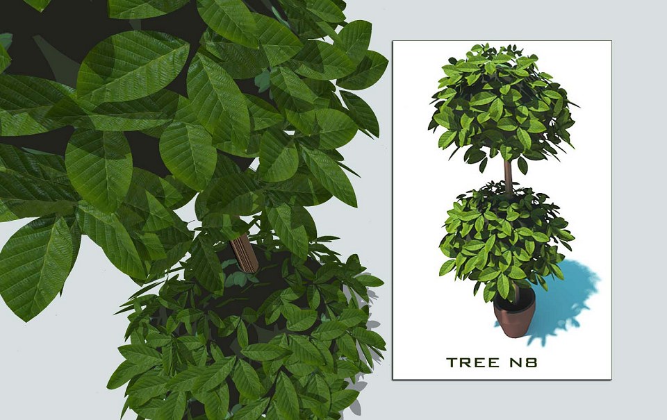 SMALL TREES 4 - by Sketchup Texture - #297 - Sketchuptexture Free 3D Model