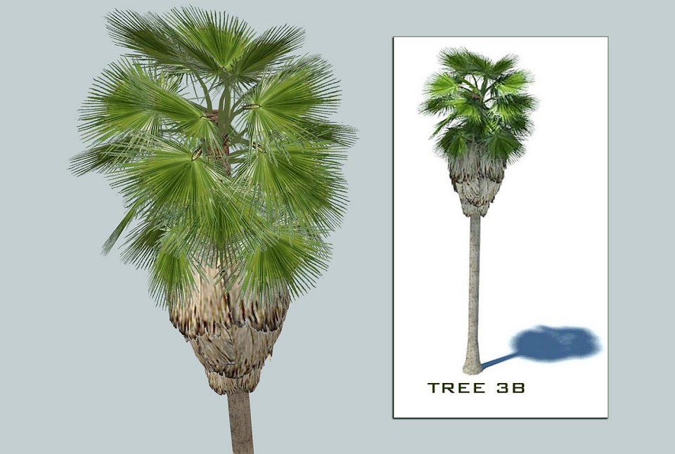 9 PALMS 3D COLLECTION - by Sketchup Texture - #300 - Sketchuptexture ...