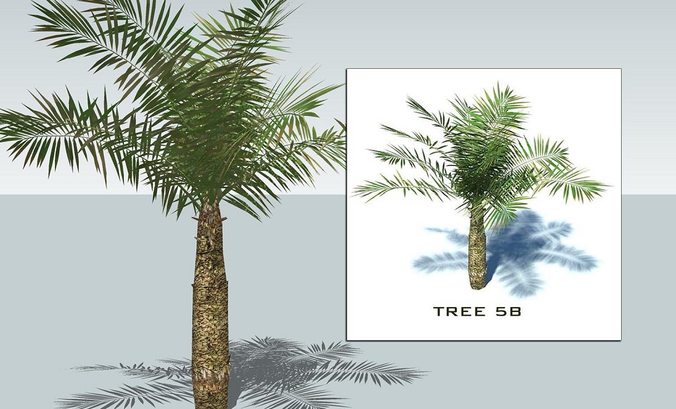 9 PALMS 3D COLLECTION - by Sketchup Texture - #302 - Sketchuptexture ...