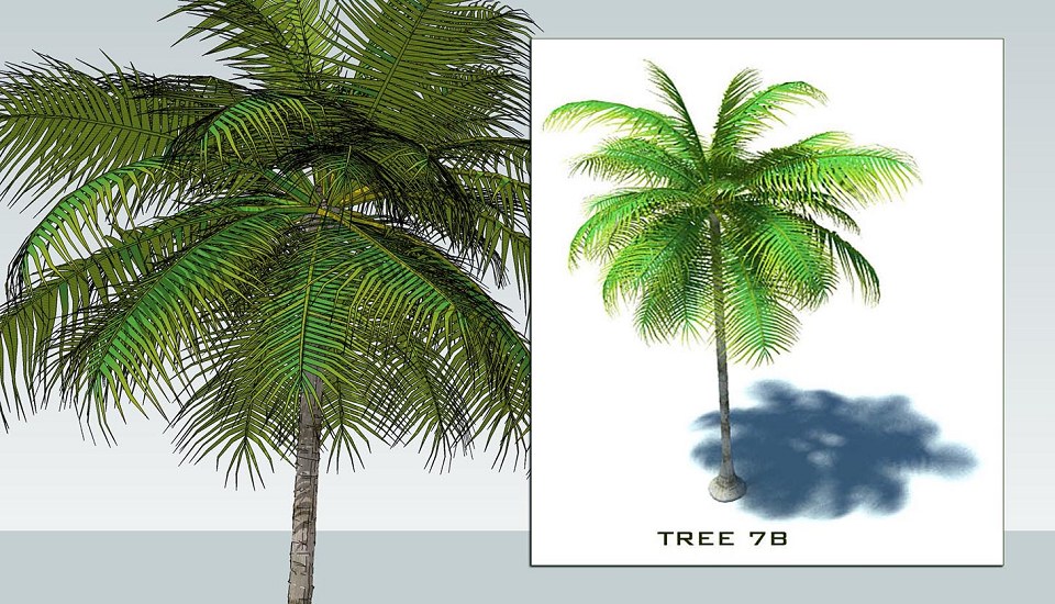 9 PALMS 3D COLLECTION - by Sketchup Texture - #304 - Sketchuptexture ...
