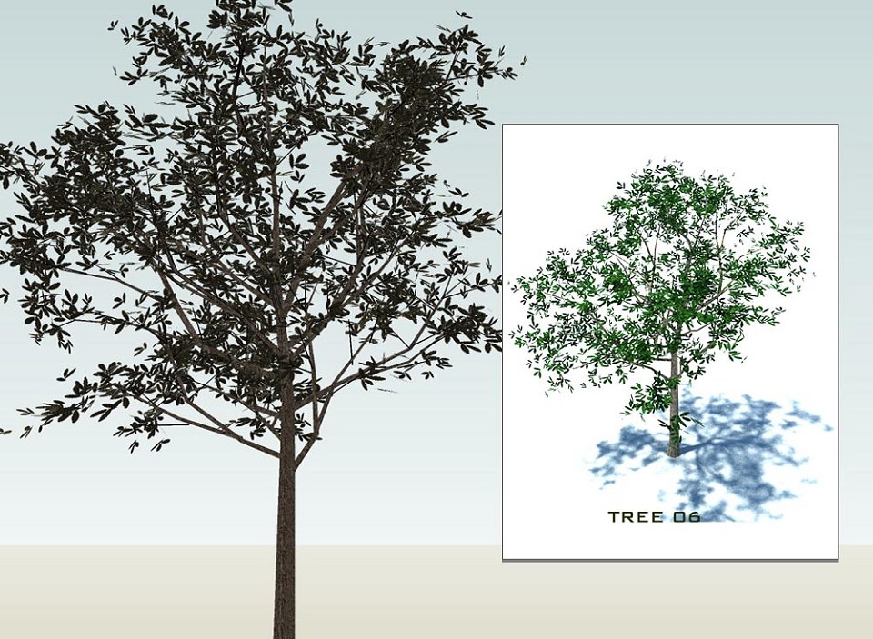 SKETCHUP 3D TREES collection 1 - by Sketchup Texture - #53 ...
