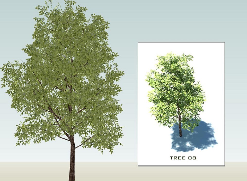 SKETCHUP 3D TREES collection 1 - by Sketchup Texture - #55 ...