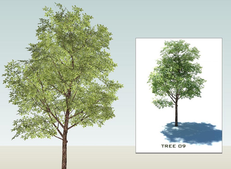 SKETCHUP 3D TREES collection 1 - by Sketchup Texture - #56 ...