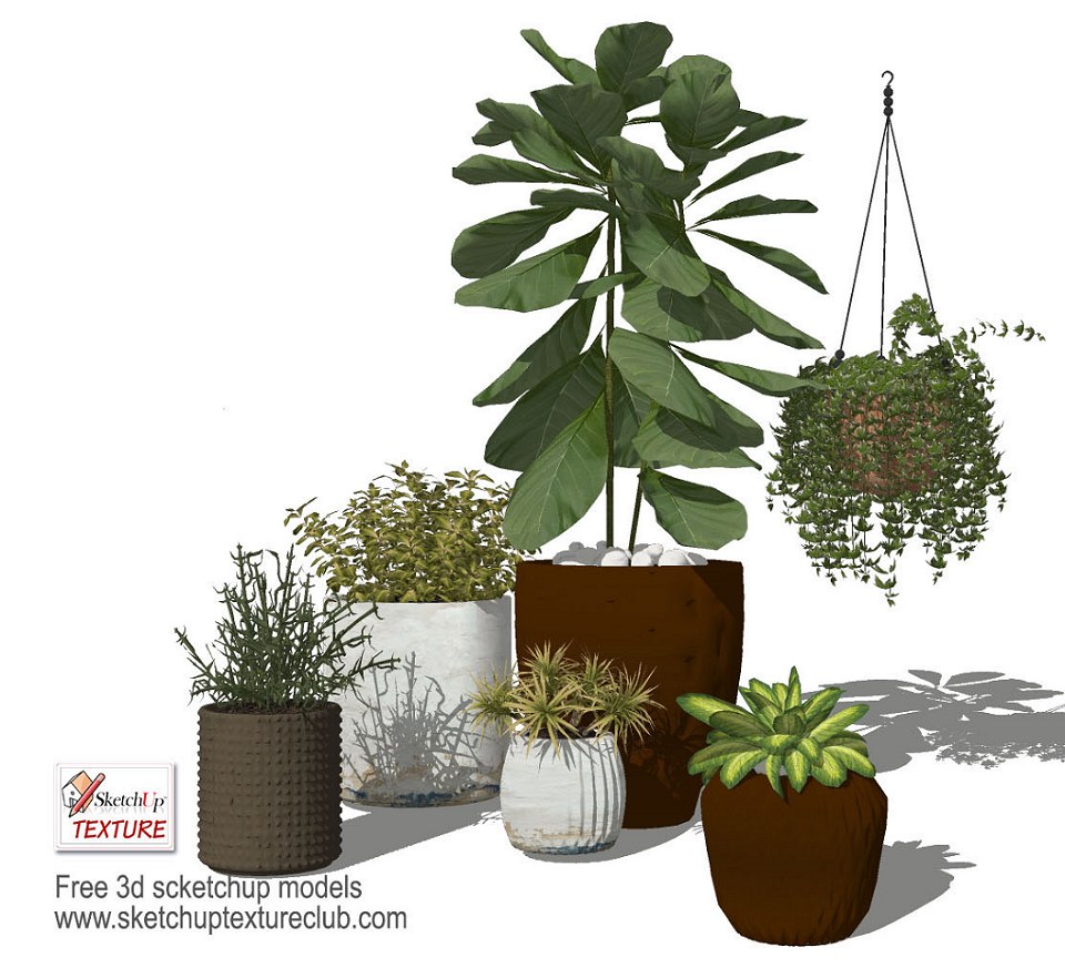 17 SketchUp 3D plants in pots collection #3 - by SketchUp Texture Team ...