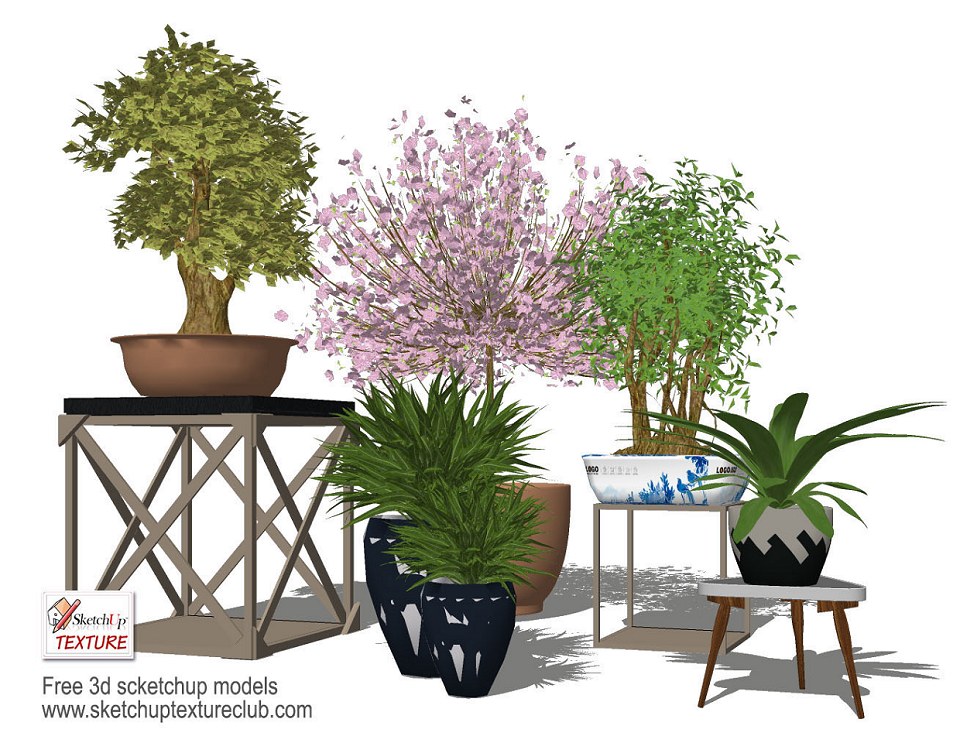 17 SketchUp 3D plants in pots collection #4 - by SketchUp Texture Team ...