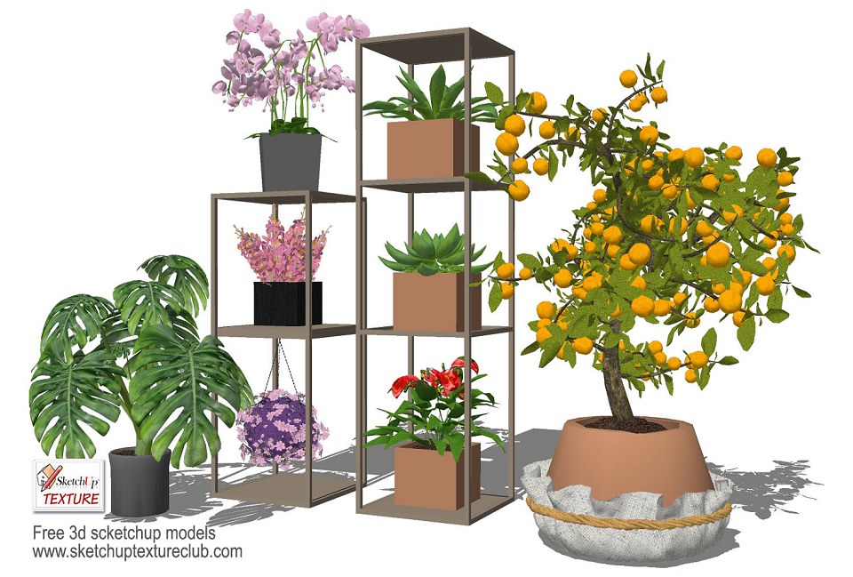 17 SketchUp 3D plants in pots collection #4 - by SketchUp Texture Team ...