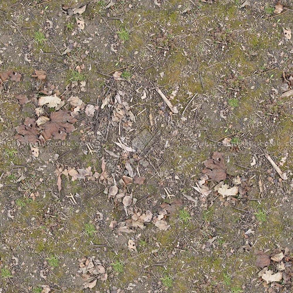 Ground texture seamless 12810