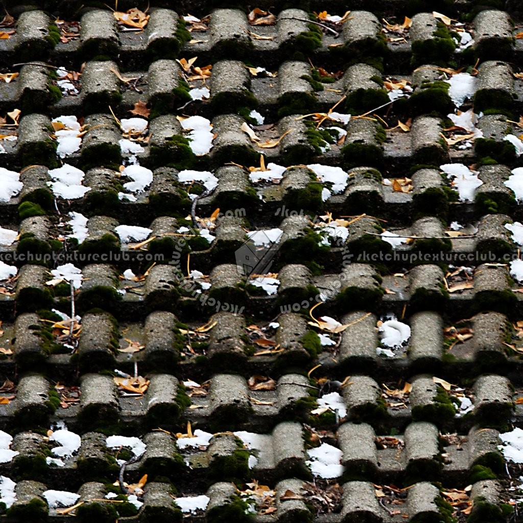 Snowy roof texture seamless 04029