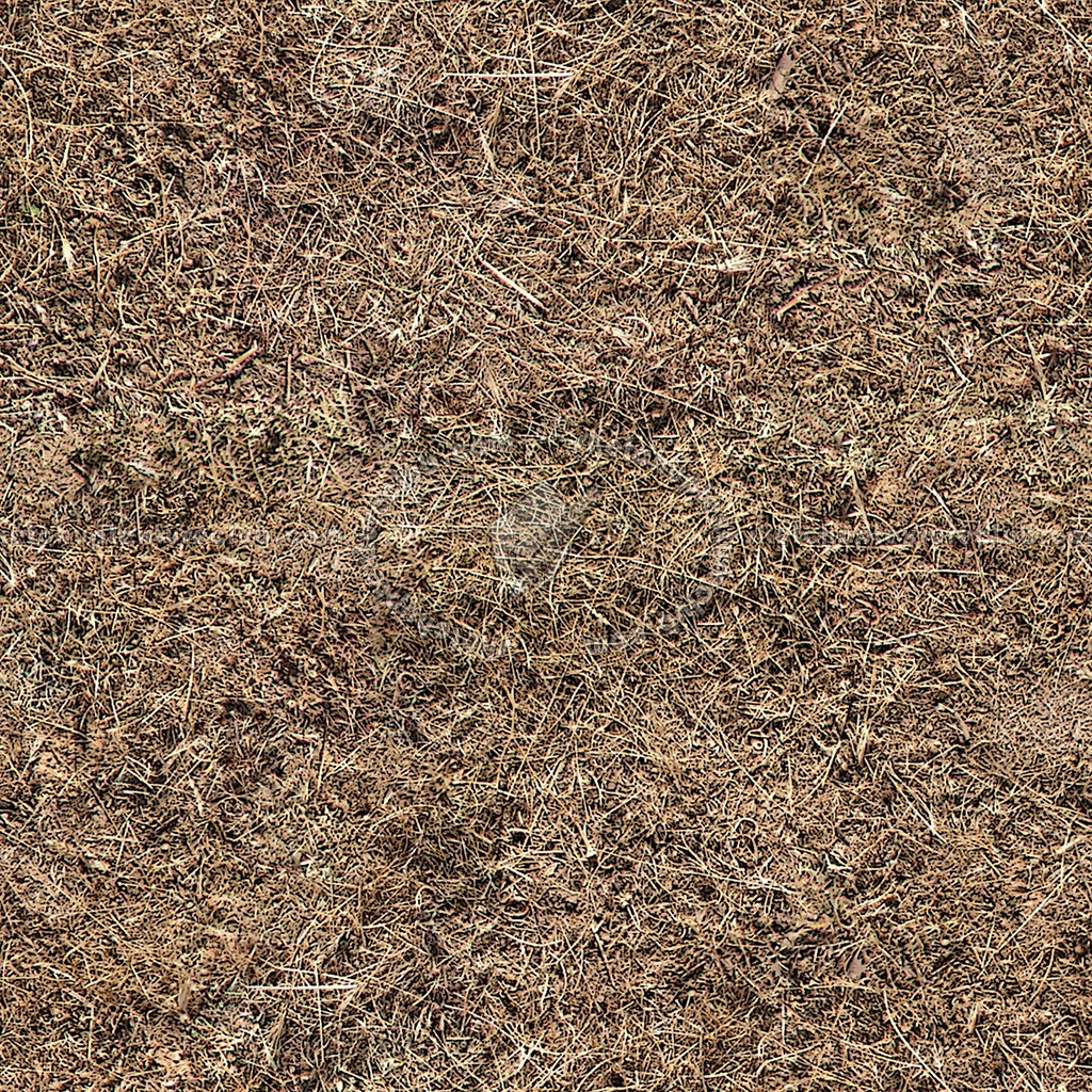 Dry Grass Texture Seamless