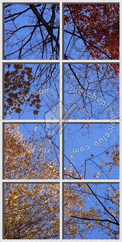 Special window texture 01132