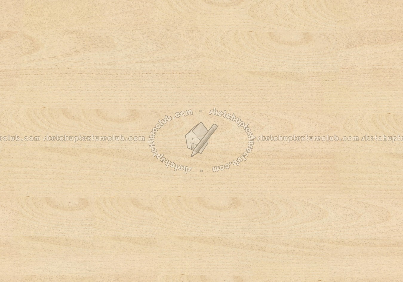 Beech wood light wood fine texture seamless 04300