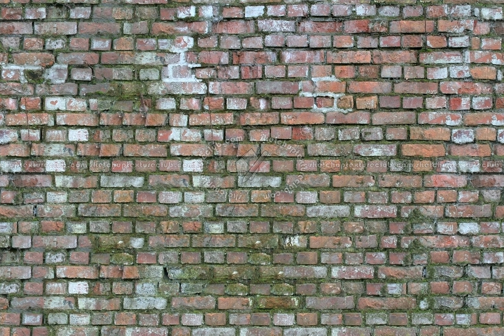 Damaged bricks texture seamless 00114