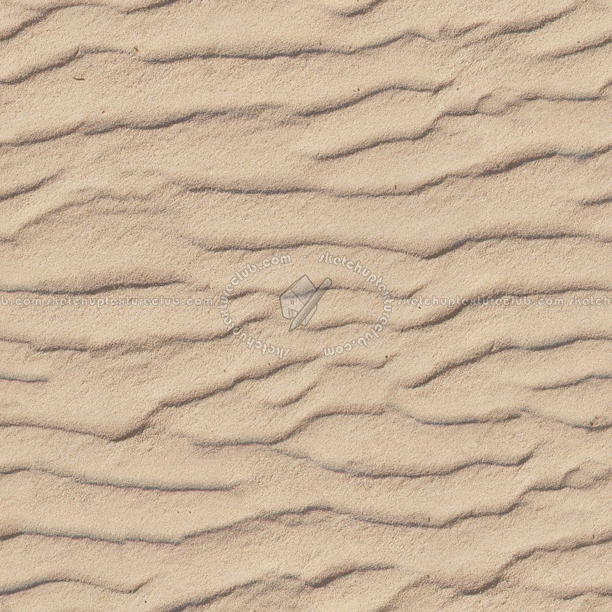 Beach sand texture seamless 12713 Beach sand texture seamless 12713