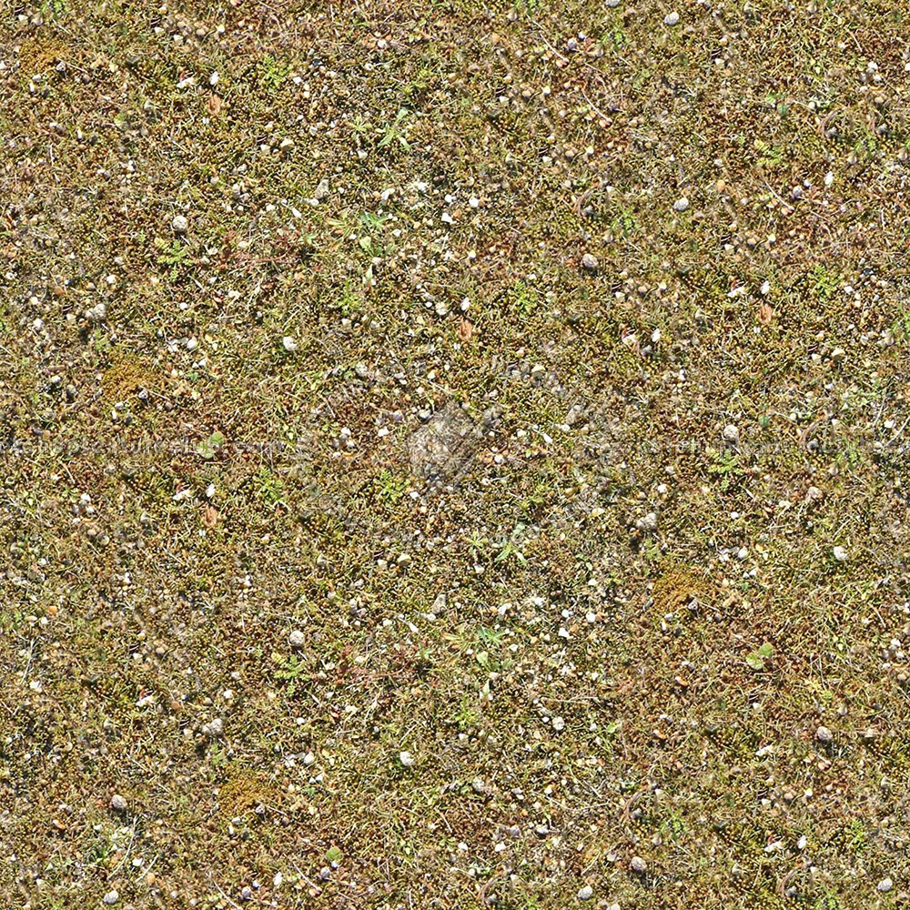 Dry Grass Texture Seamless
