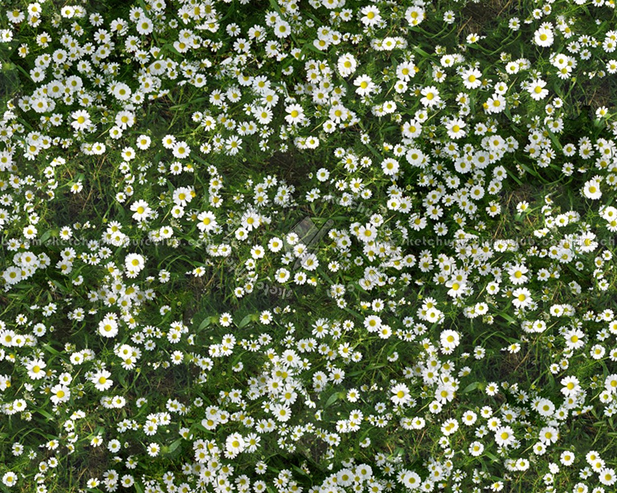 Flowery meadow texture seamless 12966