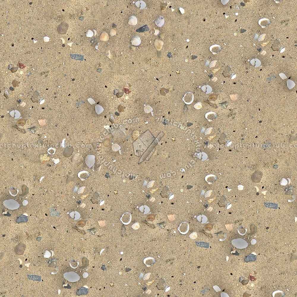 Beach sand texture seamless 12737 Beach sand texture seamless 12737
