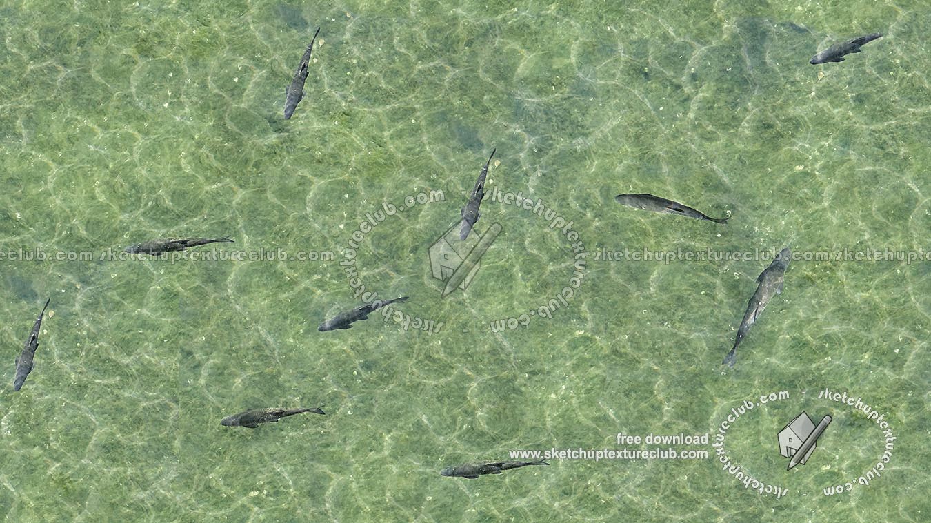 Water with fishes texture seamless 18347