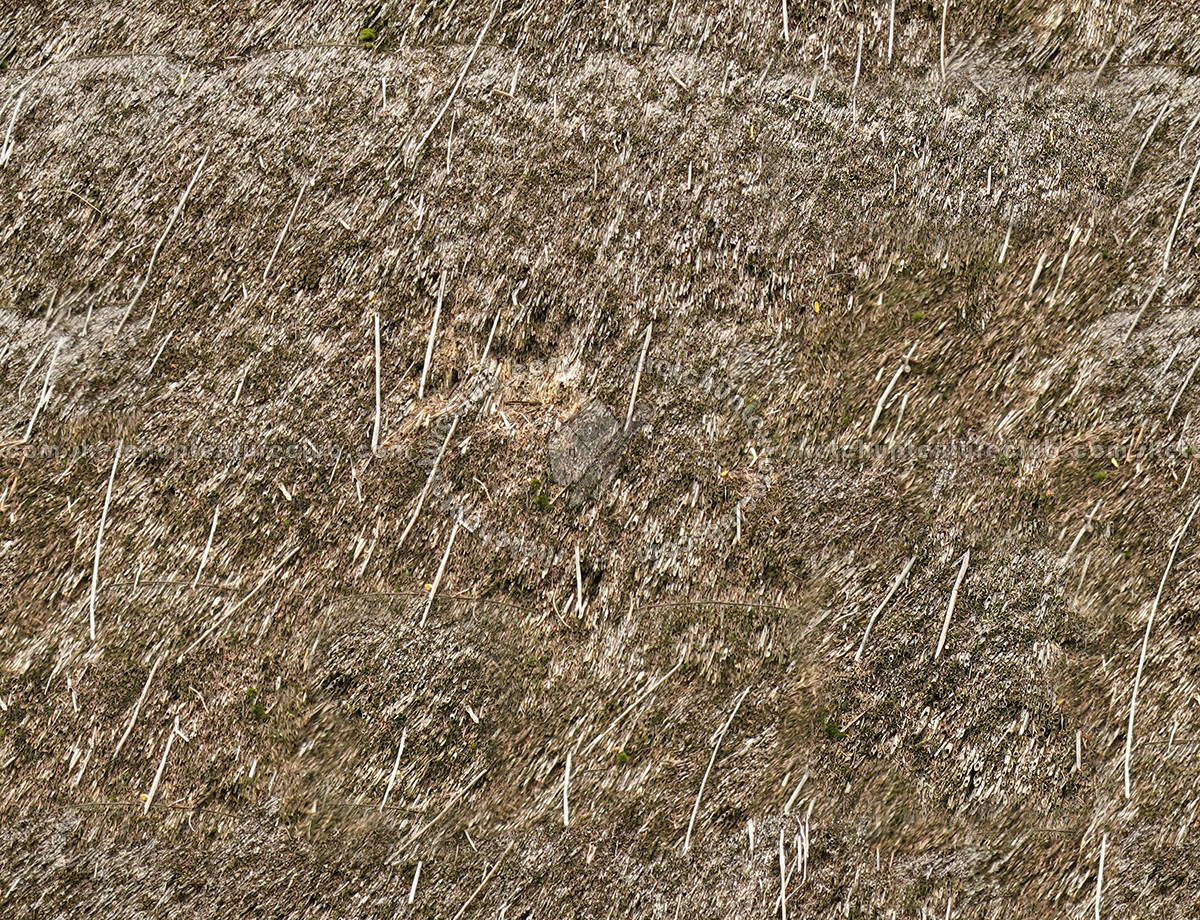 Thatched roofs textures seamless