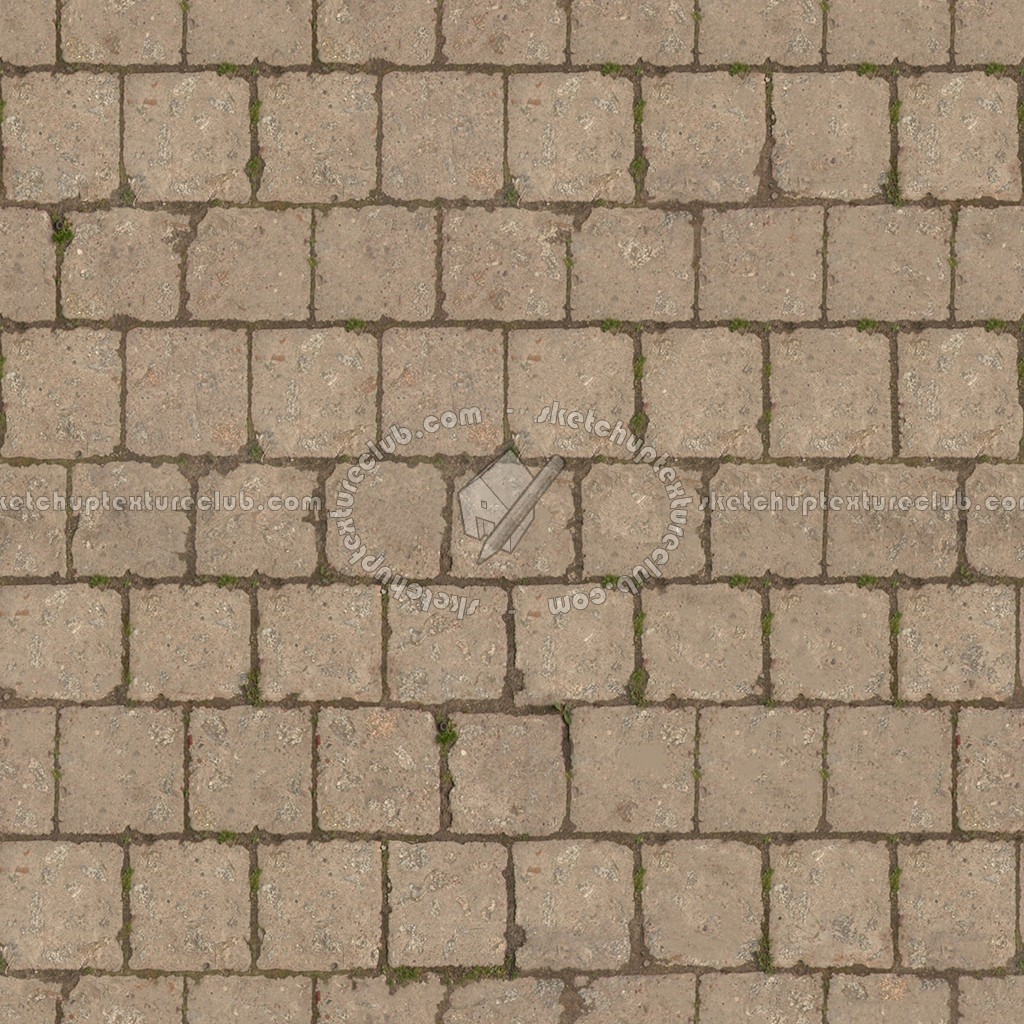 Street Paving Cobblestone Texture Seamless 07382