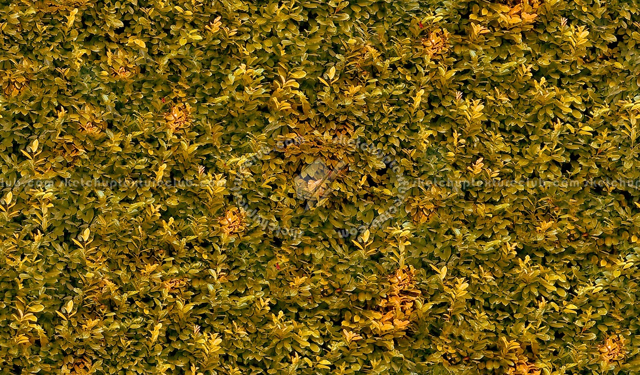 Seamless Leaf Texture