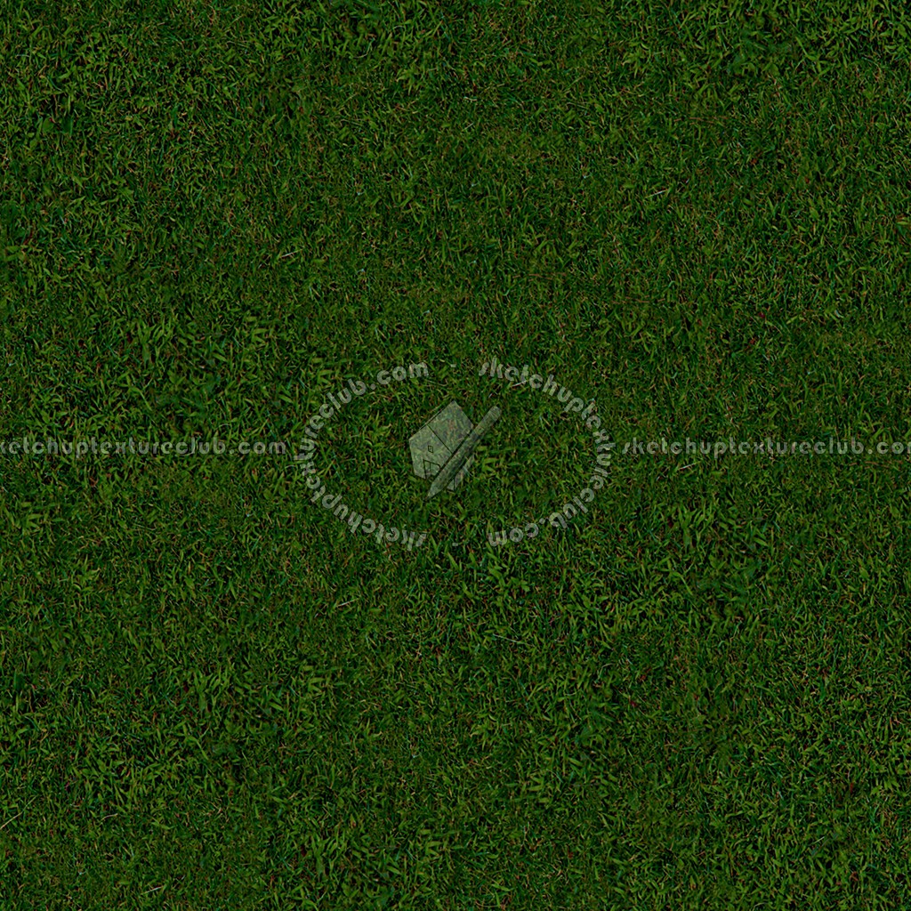 Grass Texture Map Seamless