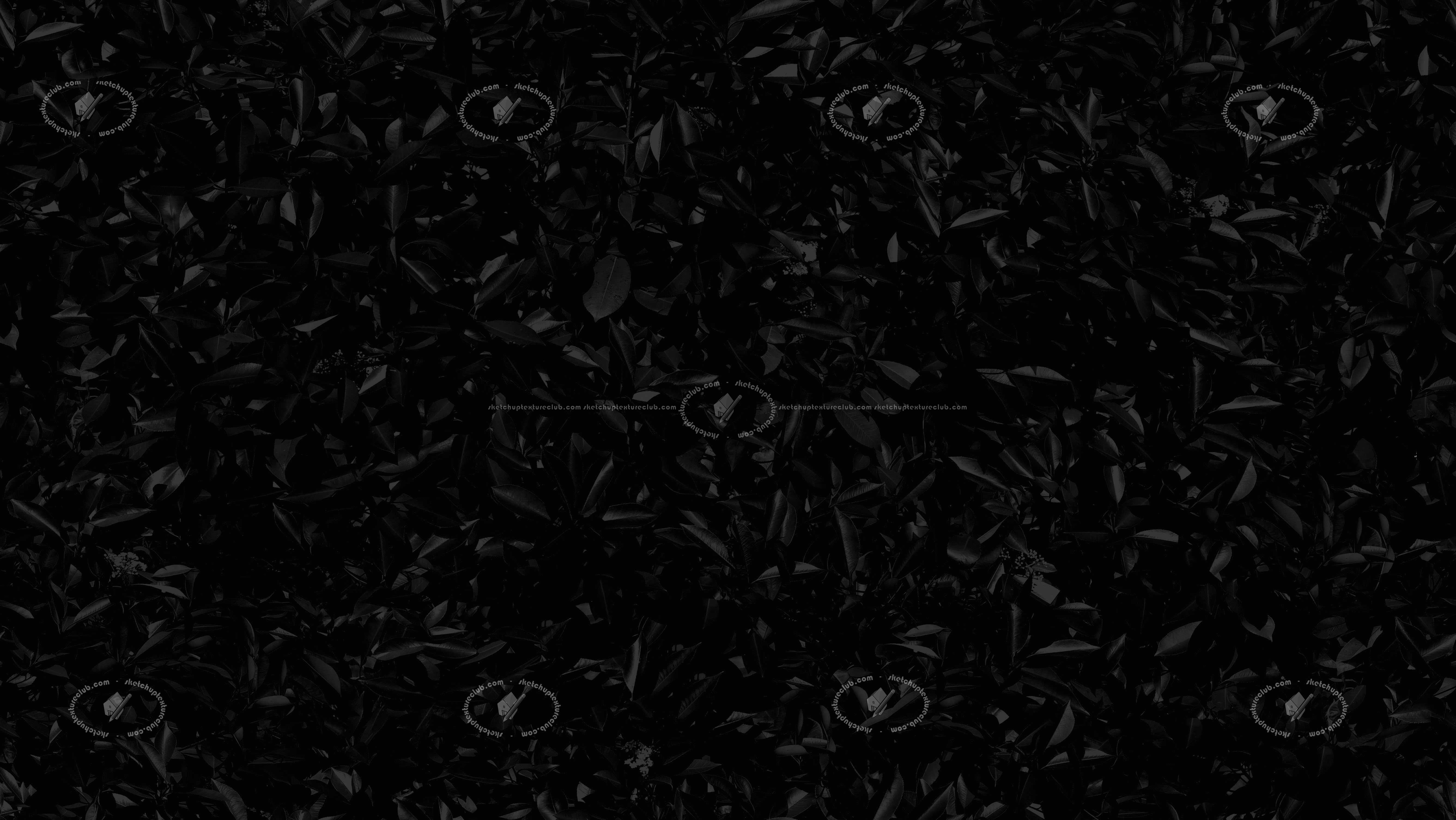 Red robin hedge texture seamless 20691