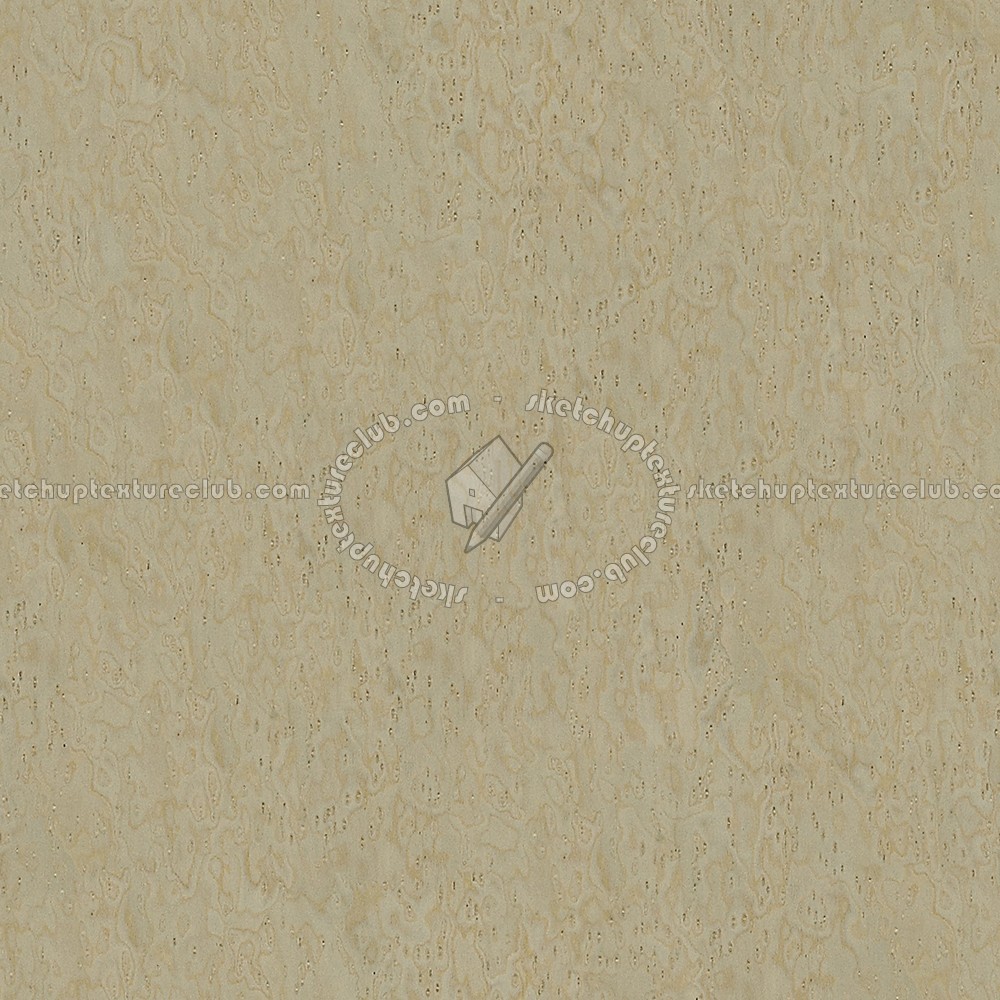 Burl poplar light wood fine texture seamless 04368