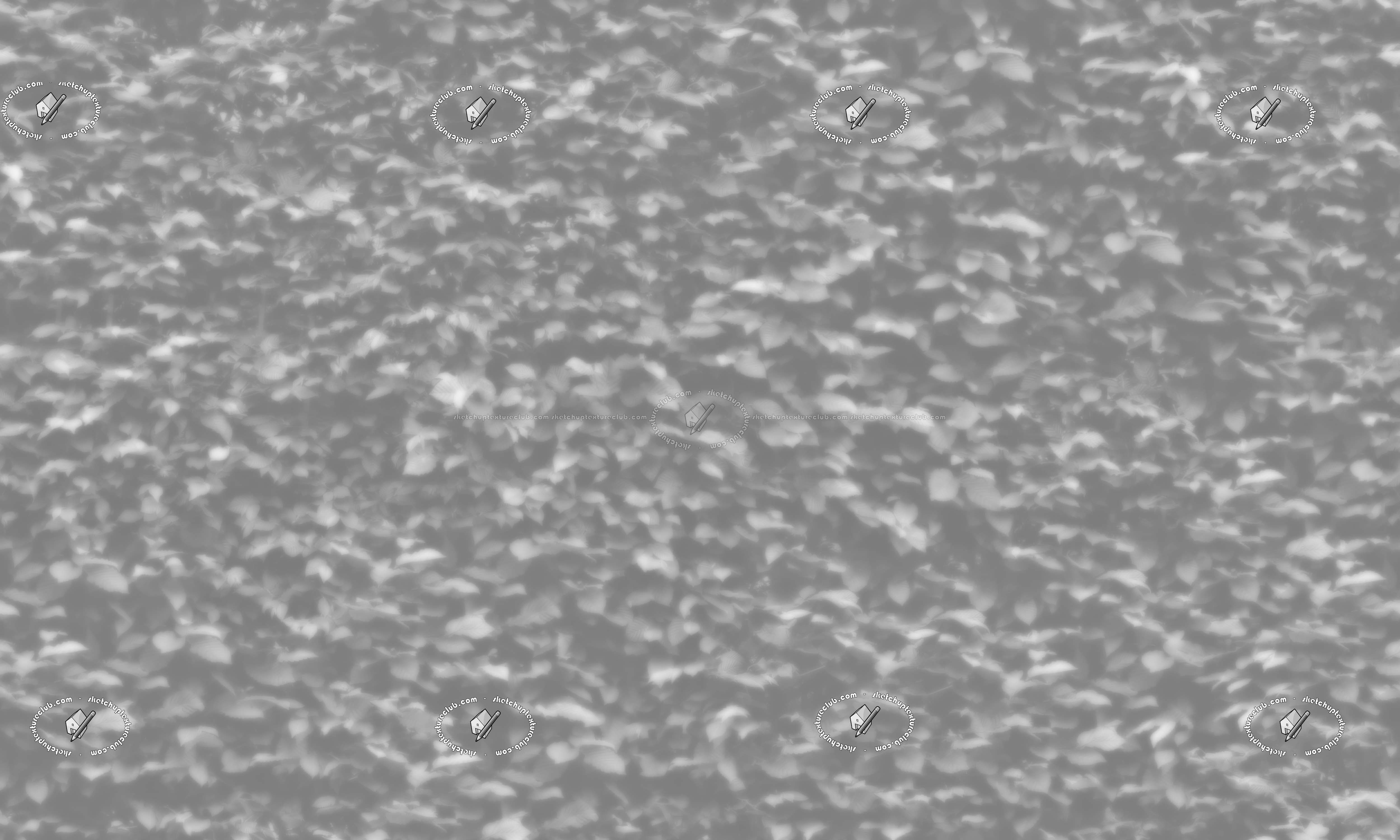 Green hedge texture seamless 20732