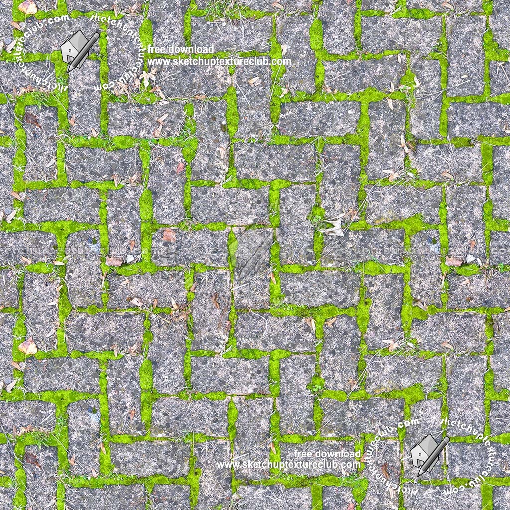 Herringbone concrete damaged paving outdoor with moss texture seamless ...