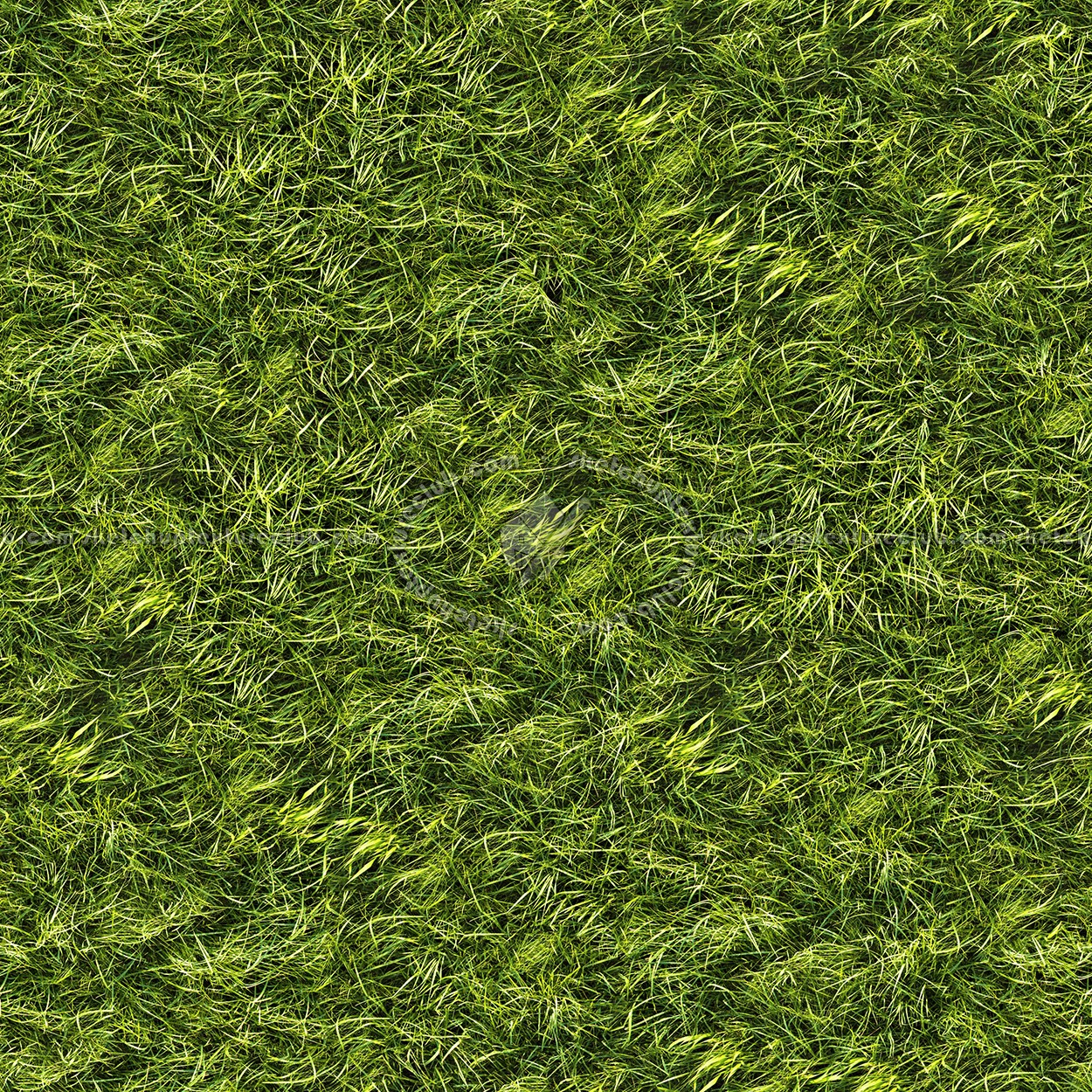 Green Grass Texture Seamless 13047