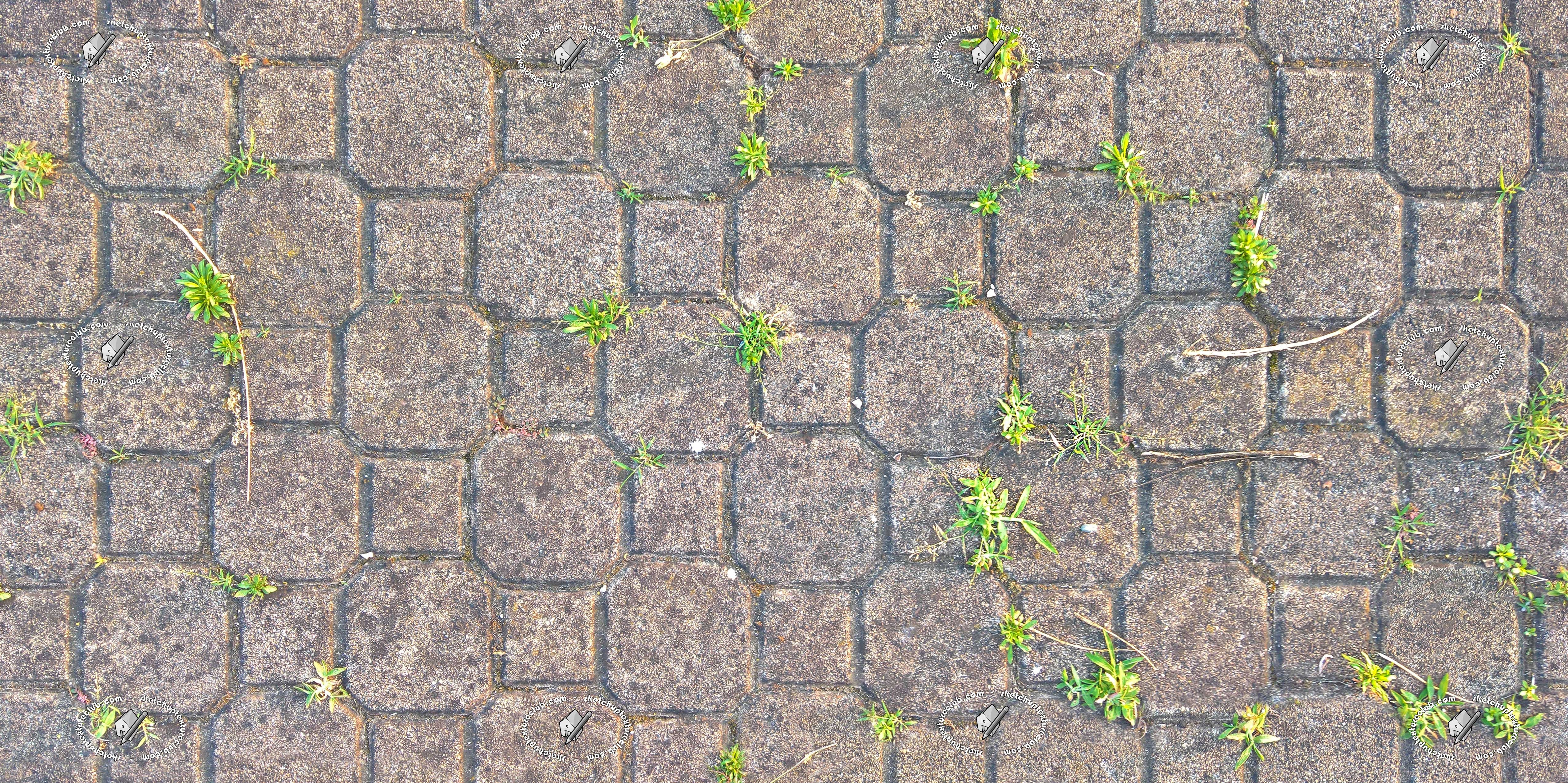 Damaged concrete outdoor paving with grass texture seamless 20783