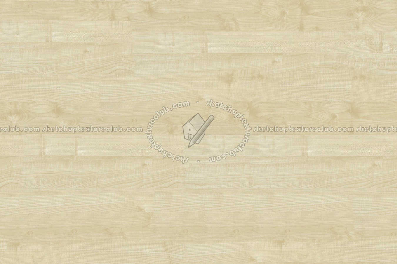 Maple light wood fine texture seamless 04381