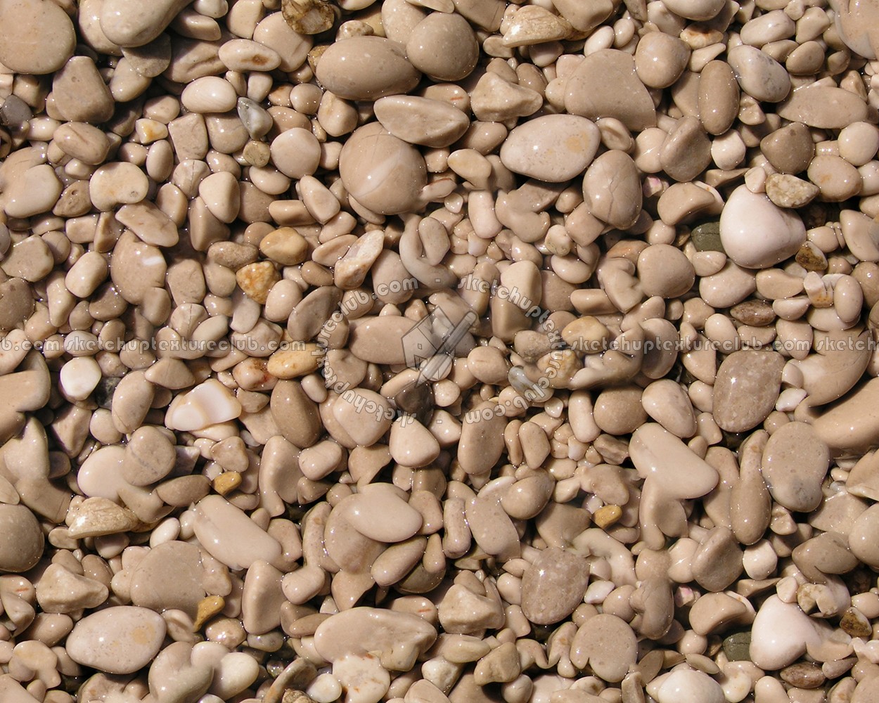 Wet Pebbles Stone Texture Seamless 12465