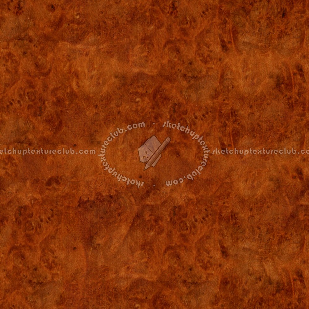 Burl oak wood medium color texture seamless 04498