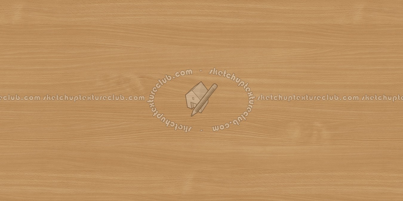 Beech wood medium color texture seamless 04501