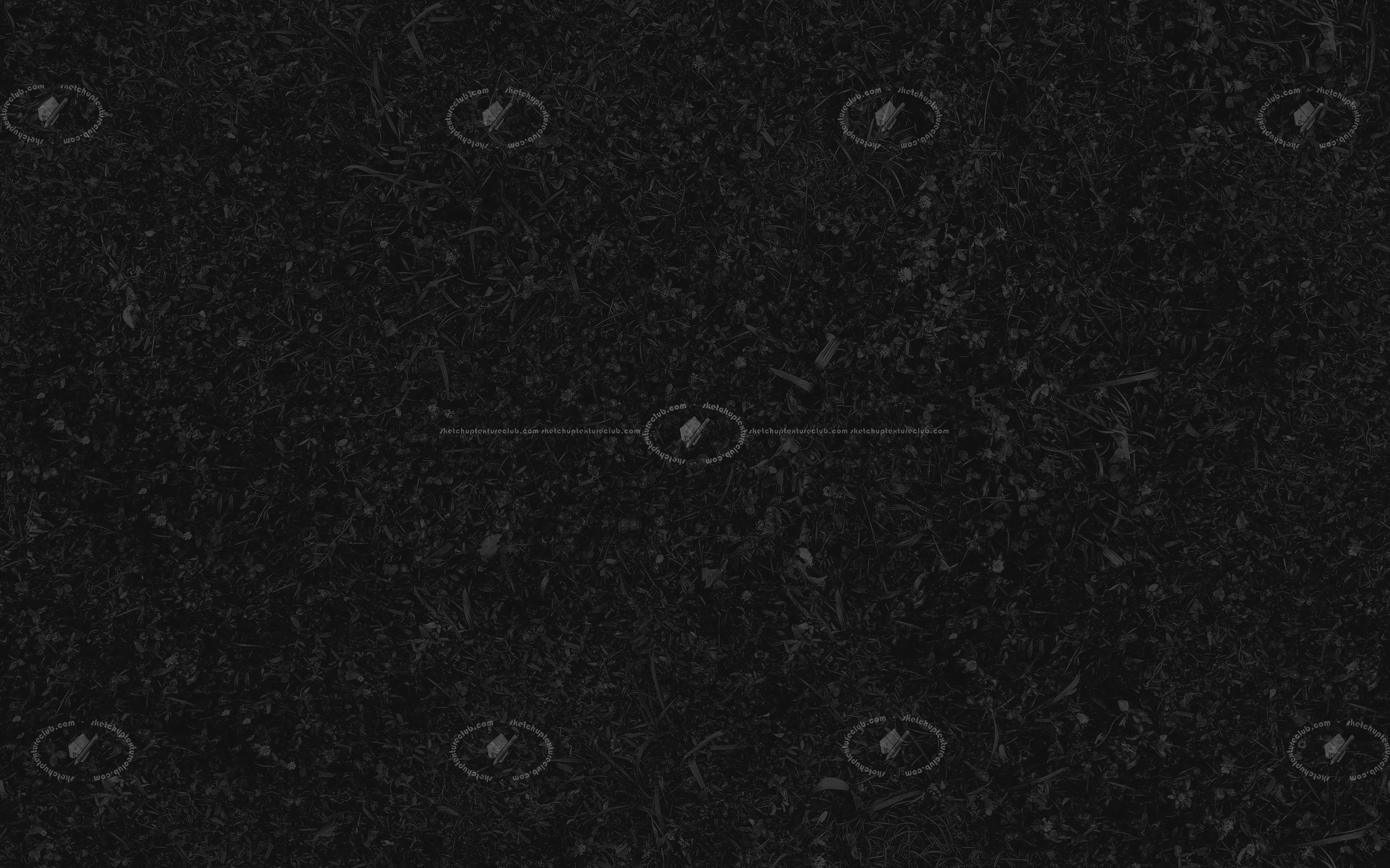 Wild green grass texture seamless 20654