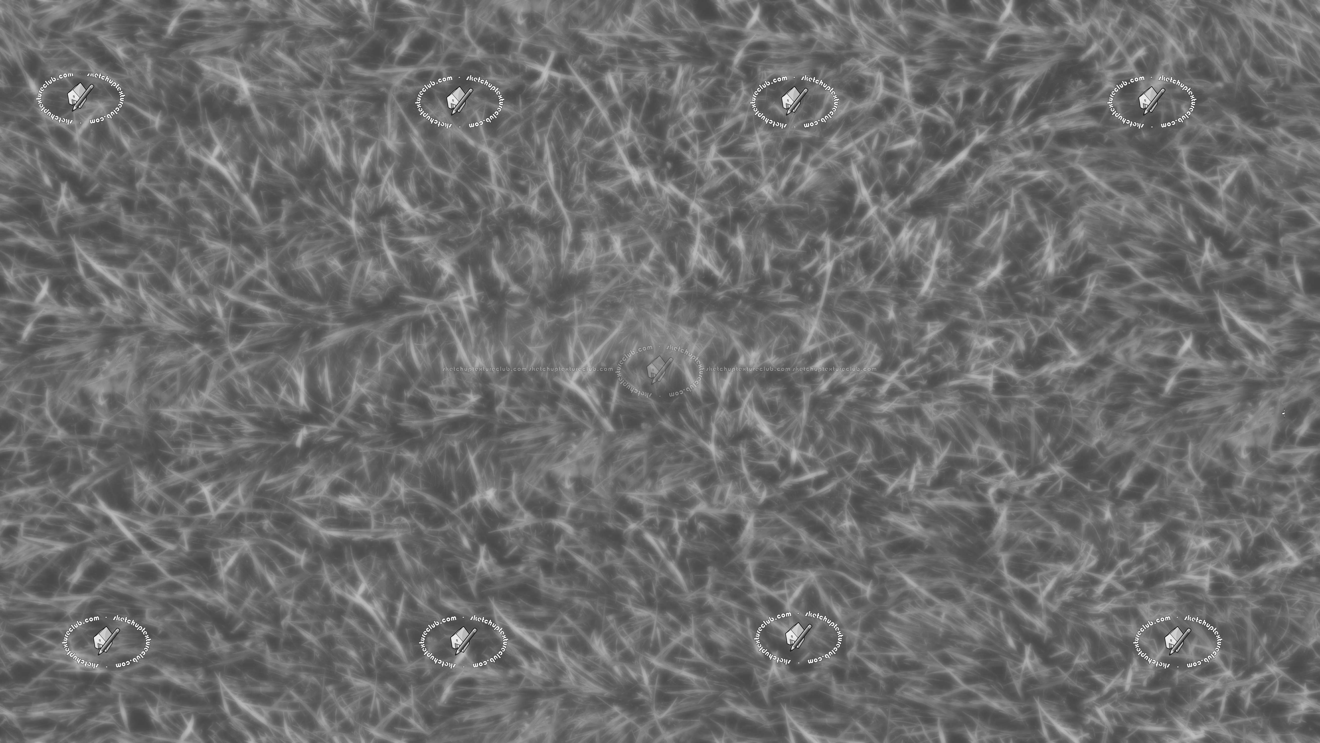 Green grass texture seamless 20771